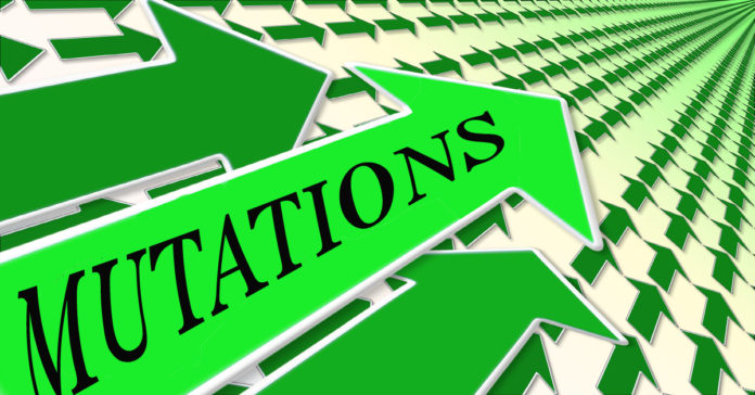 Le monde du travail est en pleine mutation